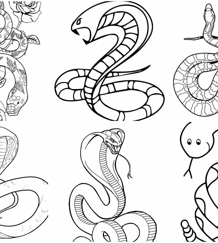 Cobra para colorir